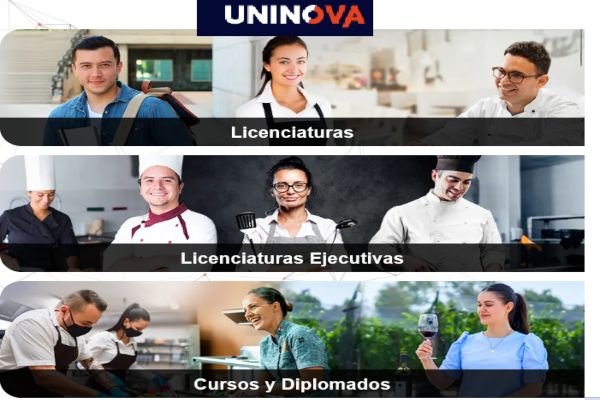 Las Mejores Escuelas de Gastronomía en San Luis Potosí