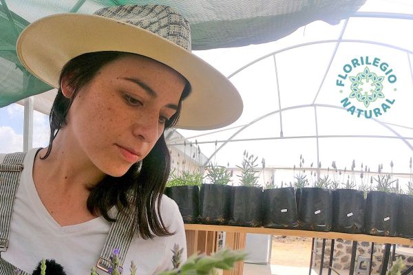 Las Mejores Escuelas de Medicina en Toluca 【2025】