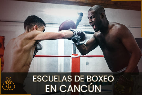 Las Mejores Escuelas de Boxeo Cerca de tu Ubicación