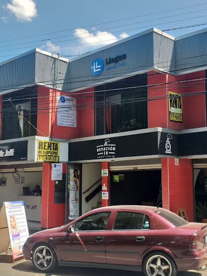 Lingua Language Center en Morelia