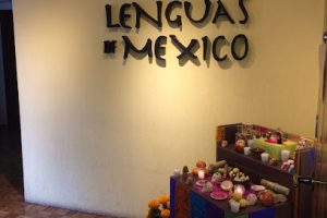 Interlingua en Cuauhtémoc